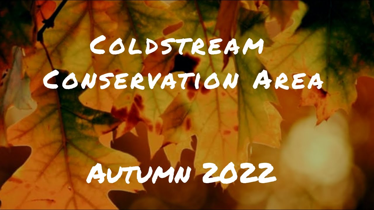 Coldstream Conservation Area. Autumn 2022. - YouTube