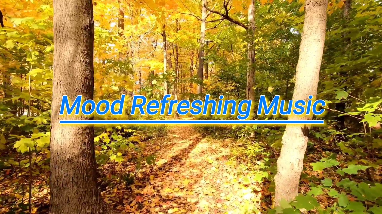 Refreshing mood video music - YouTube