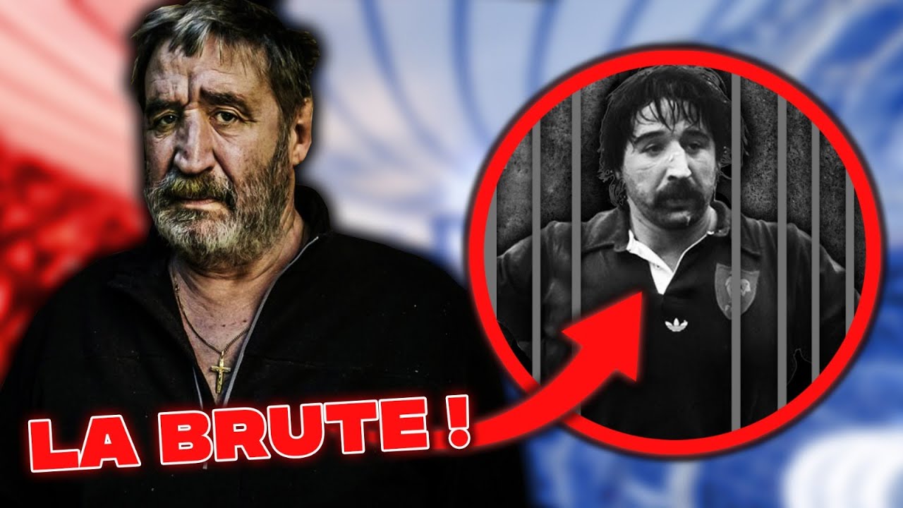 🇫🇷 *6 CONDAMNÉ pour VIOLENCE sur les TERRAINS, MICHEL PALMIÉ - YouTube