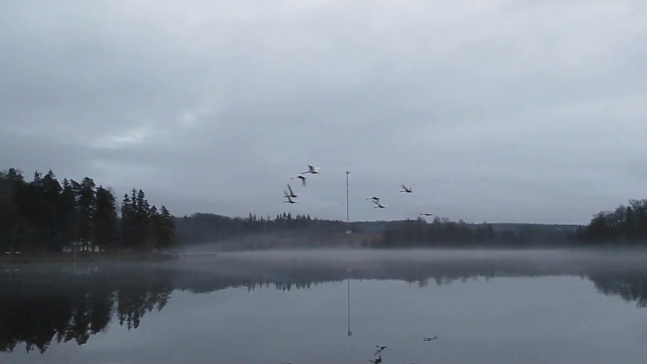 Luiged Pühajärvel - YouTube