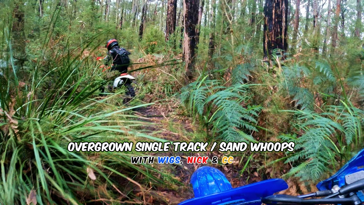 Overgrown Single Track/Sand Whoops - YouTube