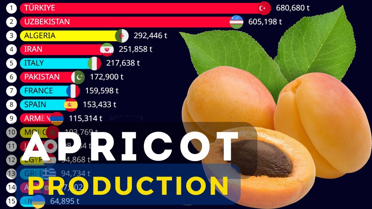 TOP 20 APRICOT PRODUCING COUNTRIES IN THE WORLD - YouTube