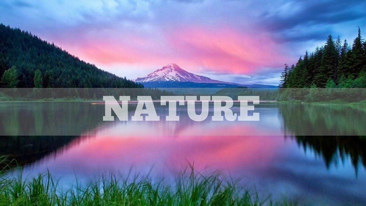 A Nature Film - by Alex Nepali _ Cinematic Video _ Nikon D7500 ...