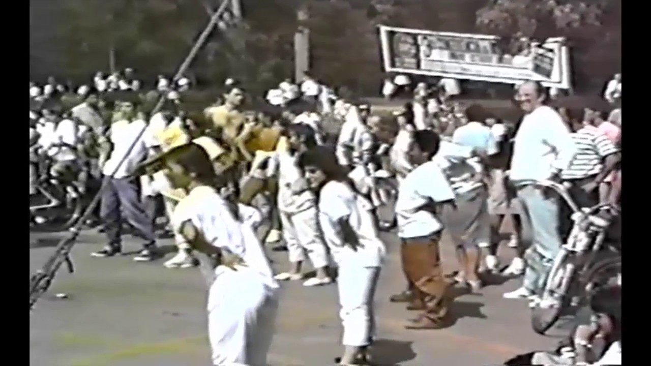 PAXTV - DIA DE TERRA 1990 PQ IBIRAPUERA - YouTube