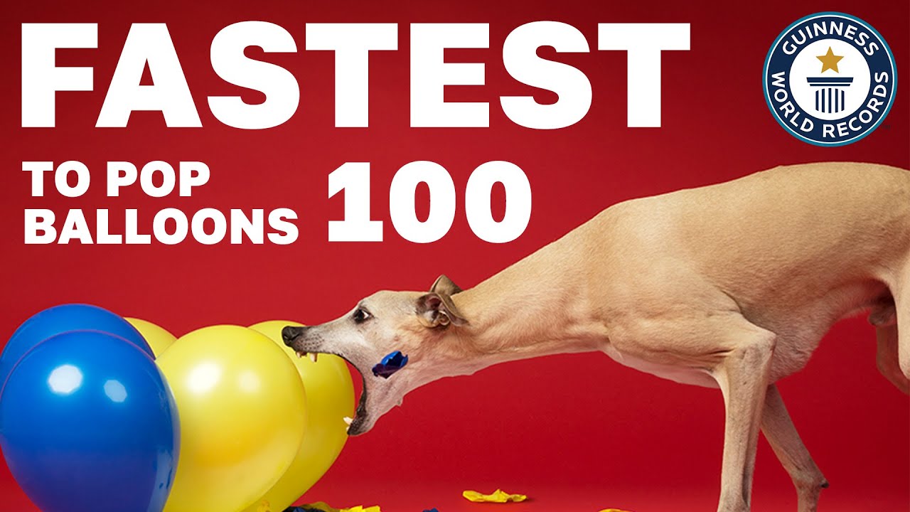 The FASTEST Records of All Time! | Guinness World Records - YouTube