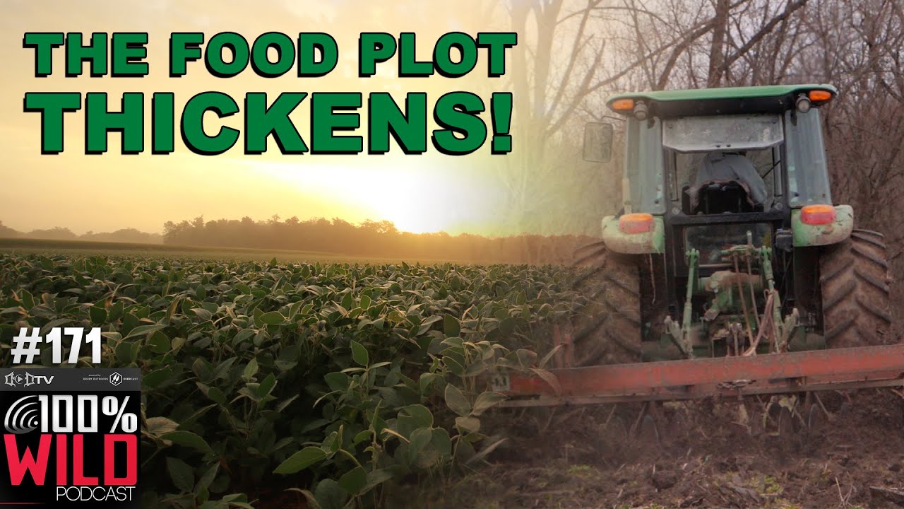 The Food Plot Thickens with Austin Delano! - 100% Wild Podcast EP171 ...