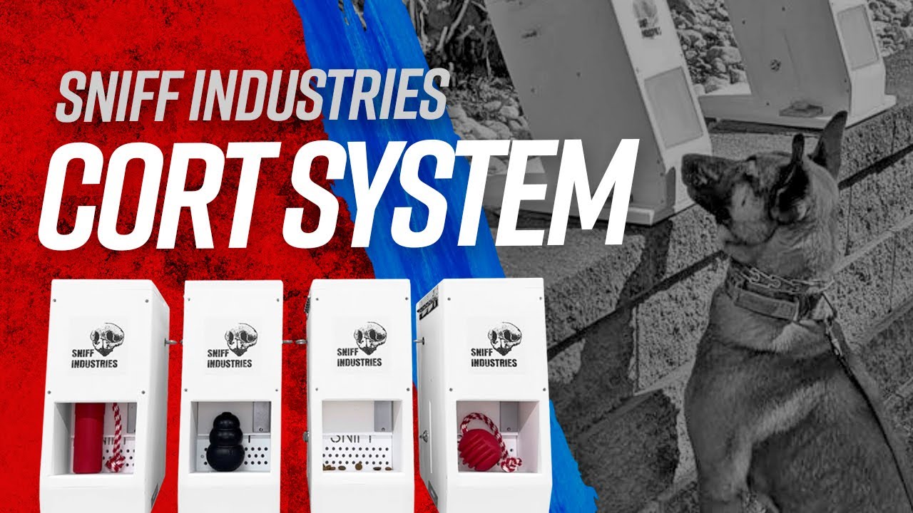 How the CORT System Enhances Scent Detection Dog Training - YouTube