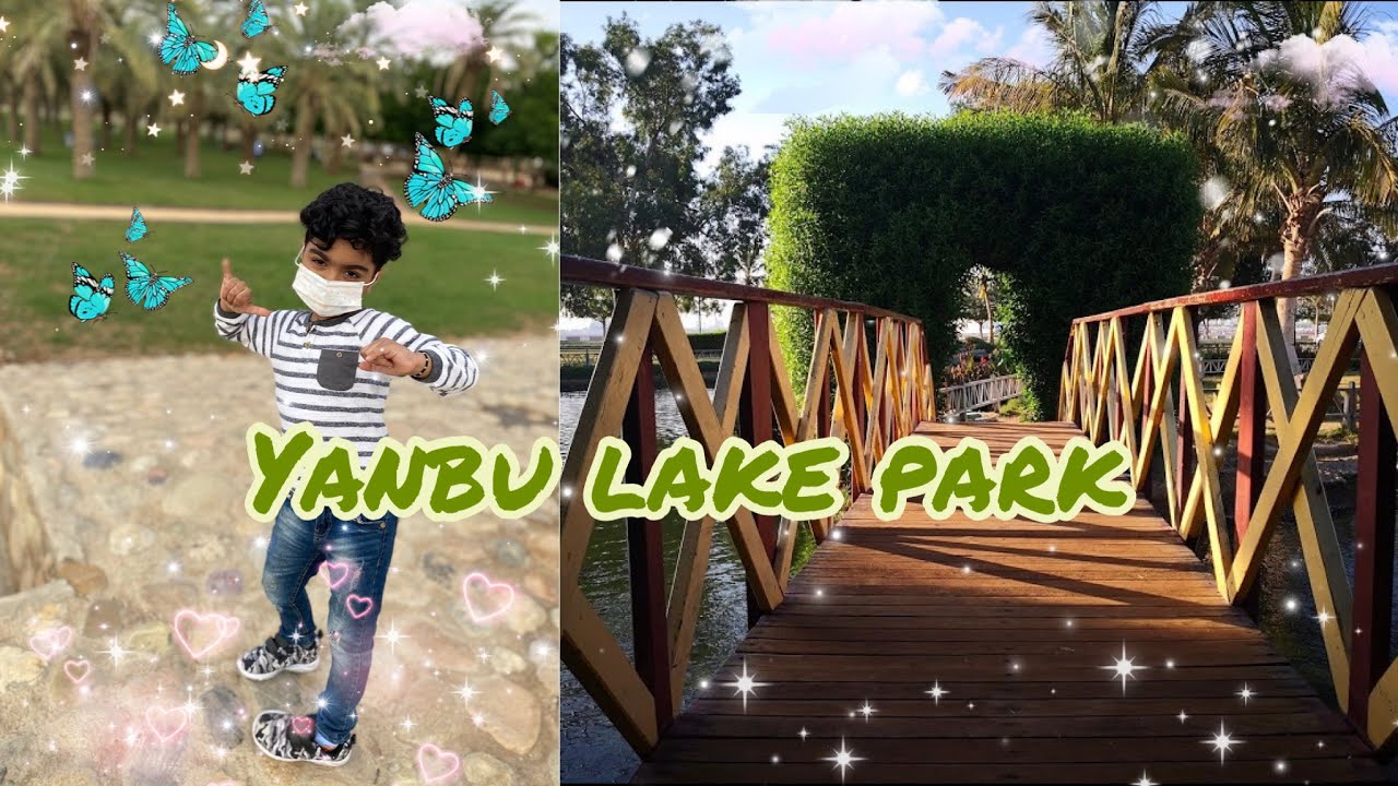 Yanbu Lake Park In KSA|Yanbu Industrial Lake Bird Park| Silver Bell ...