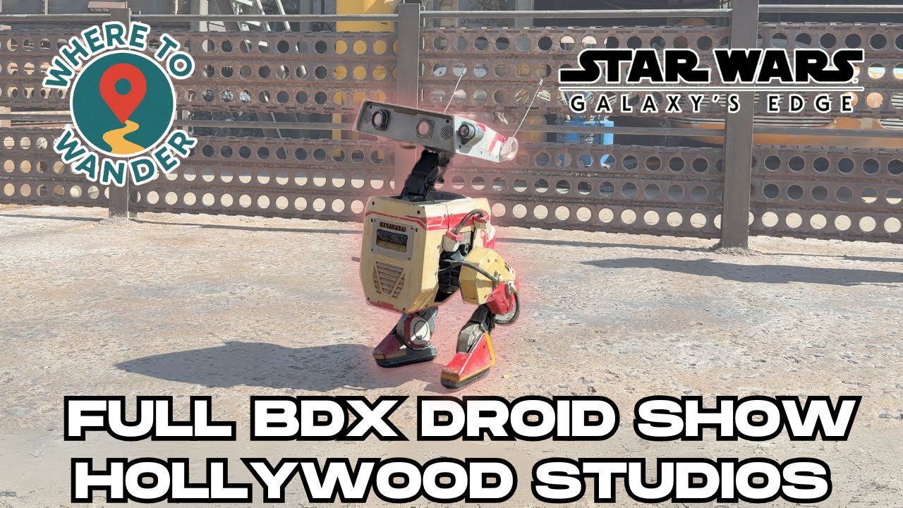 Full BDX Droid Show in 4K | Star Wars Galaxy’s Edge Hollywood Studios | Walt Disney World - YouTube