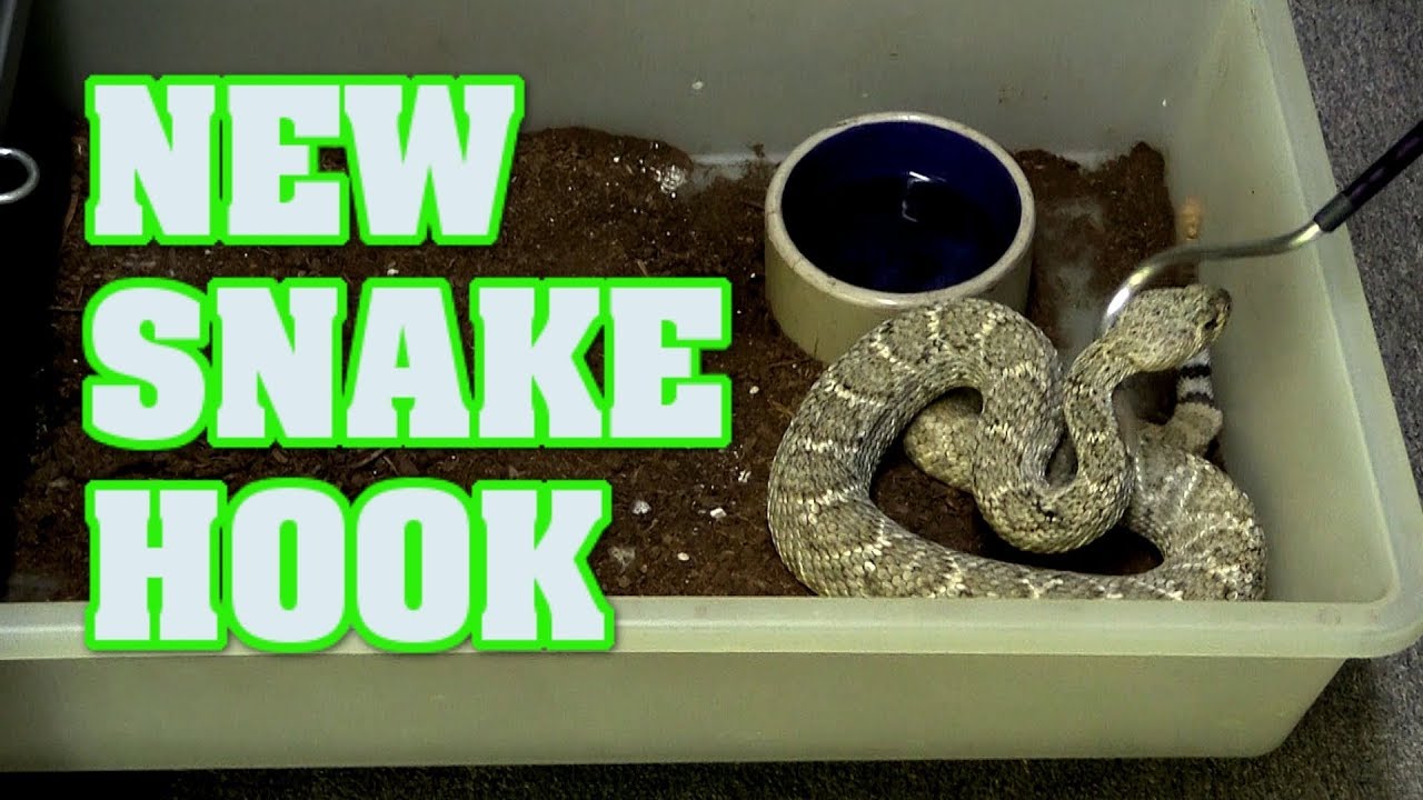 Snake Hook Unboxing Use It To Move A Rattlesnake YouTube snake-hook-unboxing-use-it-to-move-a-rattlesnake-youtube