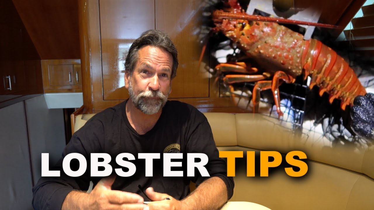 Lobster Tips from Captain Dave Hansen | California Spiny Lobster - YouTube