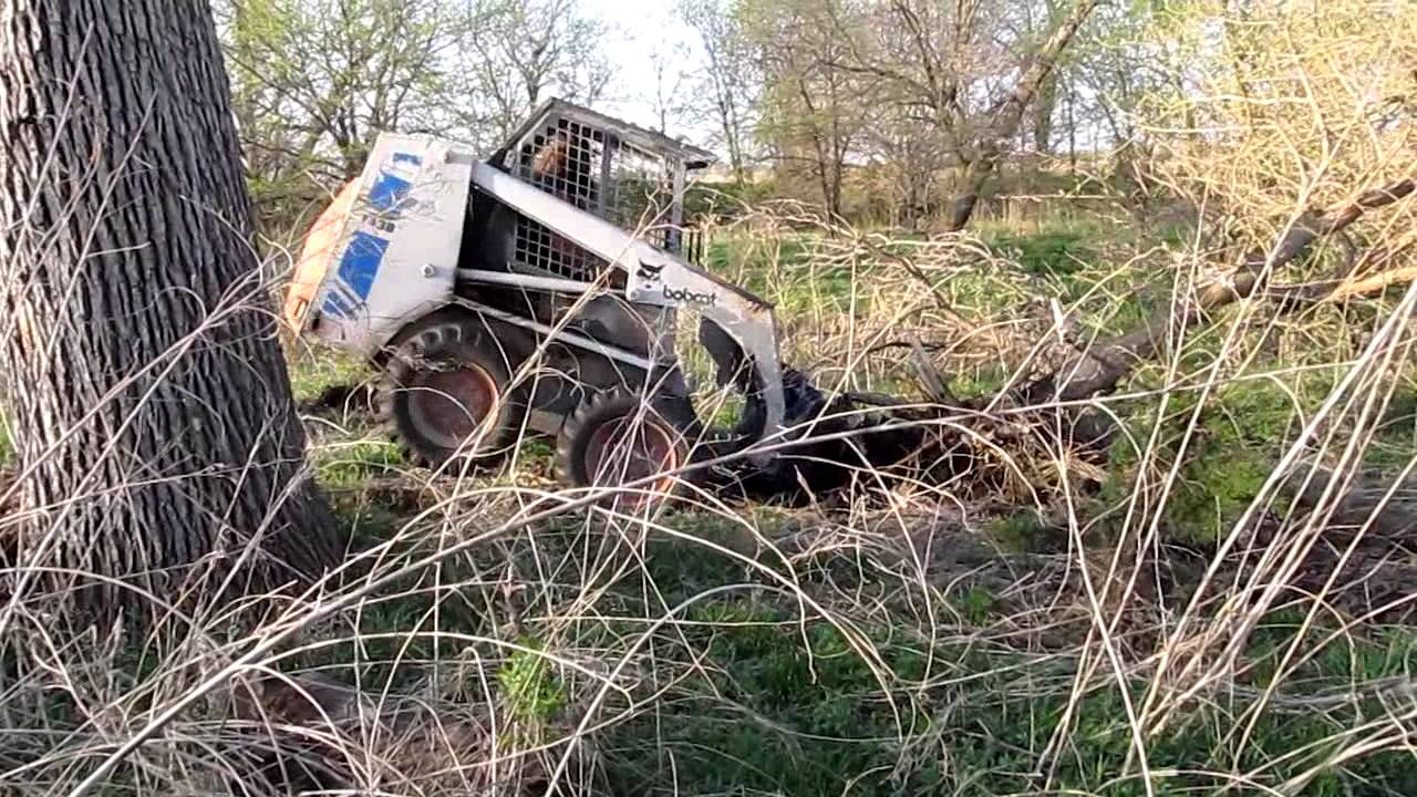 Root Digger Bobcat Bucket removing another small tree - Wolfes Metal ...