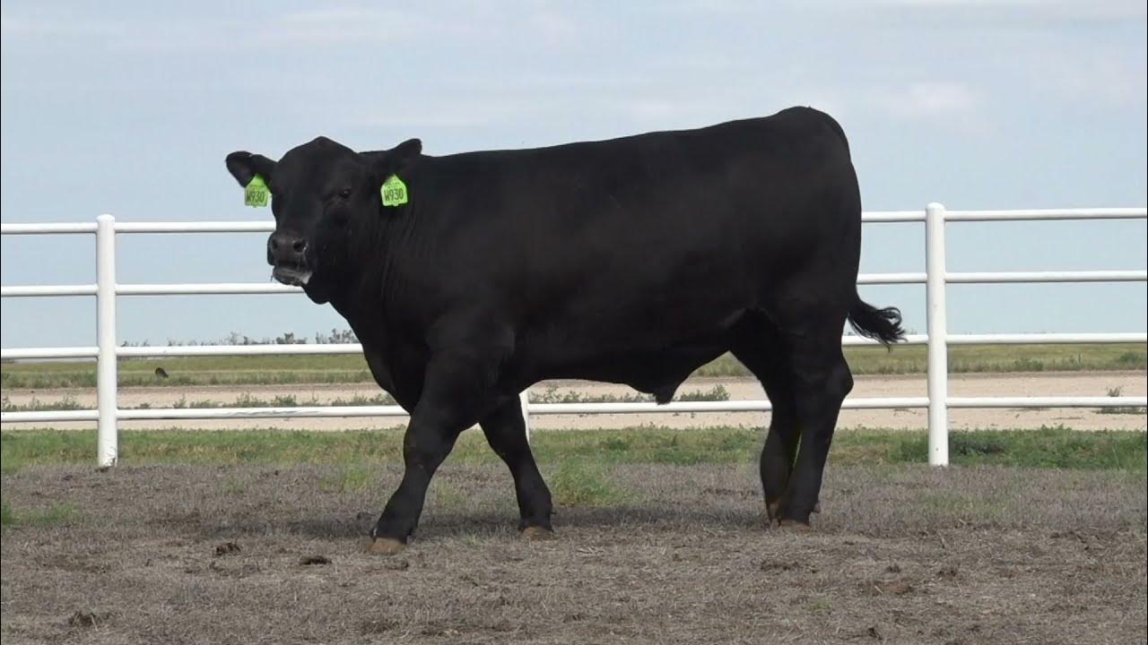 Lot 4, G A R K263 Prophet W930 - YouTube