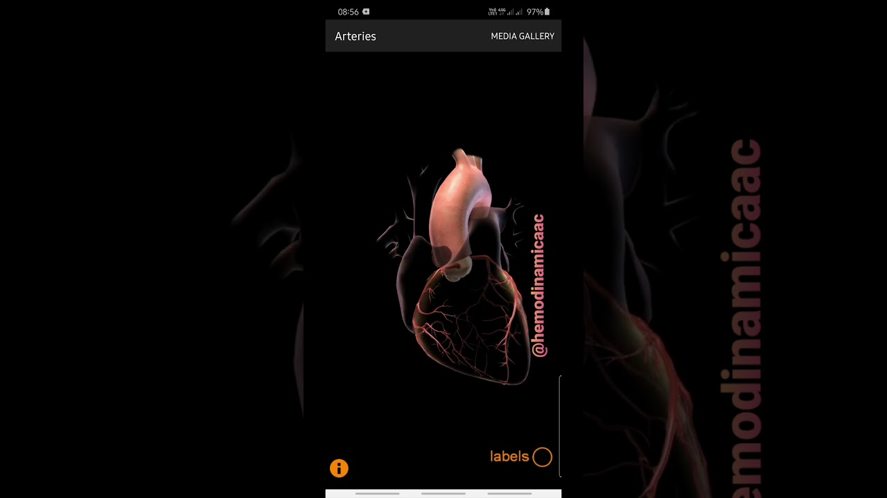 Artérias Coronárias - YouTube