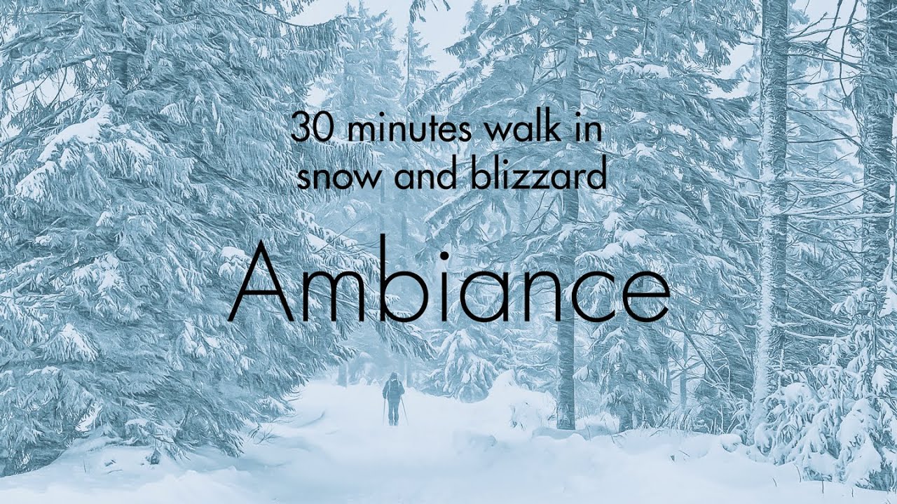 30 minutes walk in snow and blizzard / Ambiance / Winter - YouTube