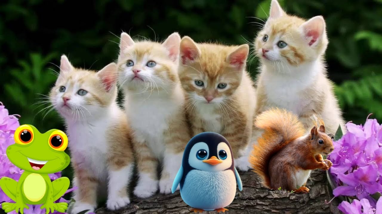 Cute animal sounds:Bear, Fox, Dolphin, Bison, Deer, Leopard, Goat ...