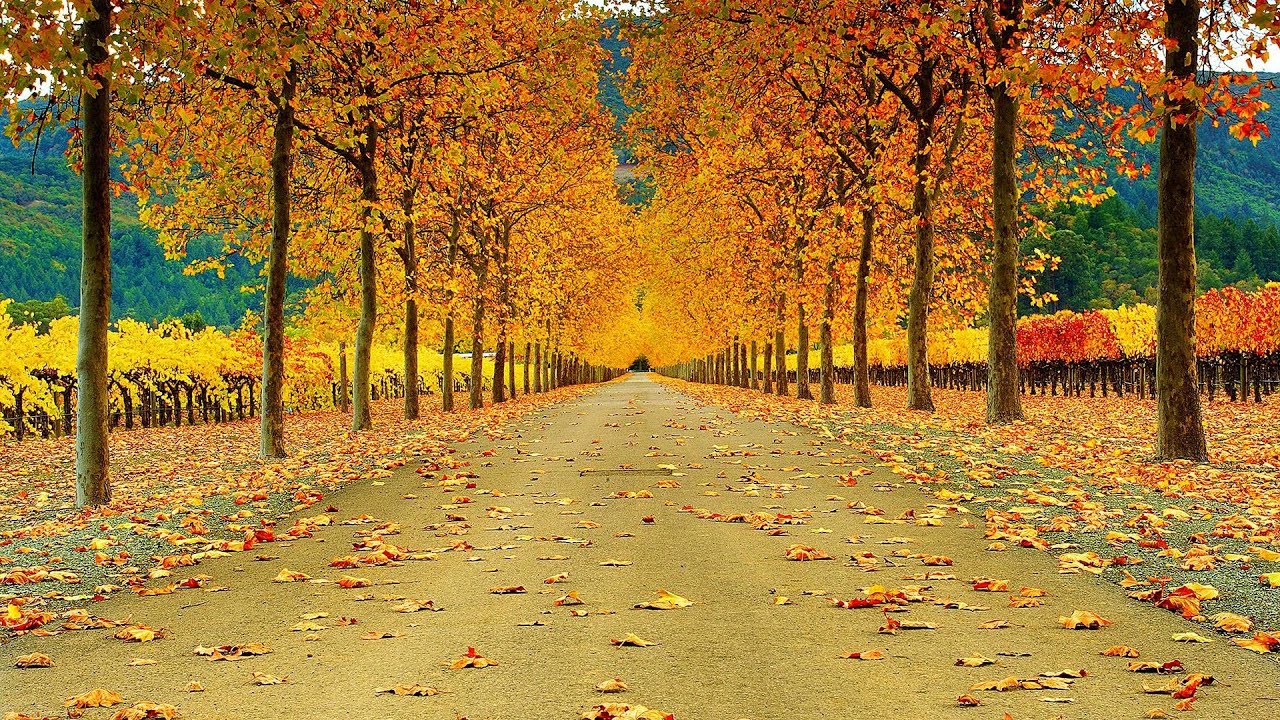 Magicxbeats - Sliver Haze 2 (HaZe Version) - YouTube