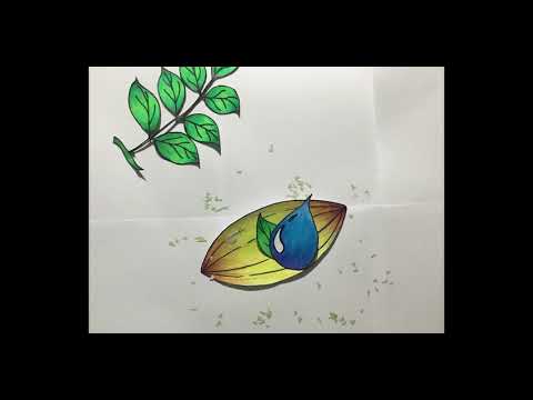 Instic: A Biopesticide for Cocoa Mirid Bugs