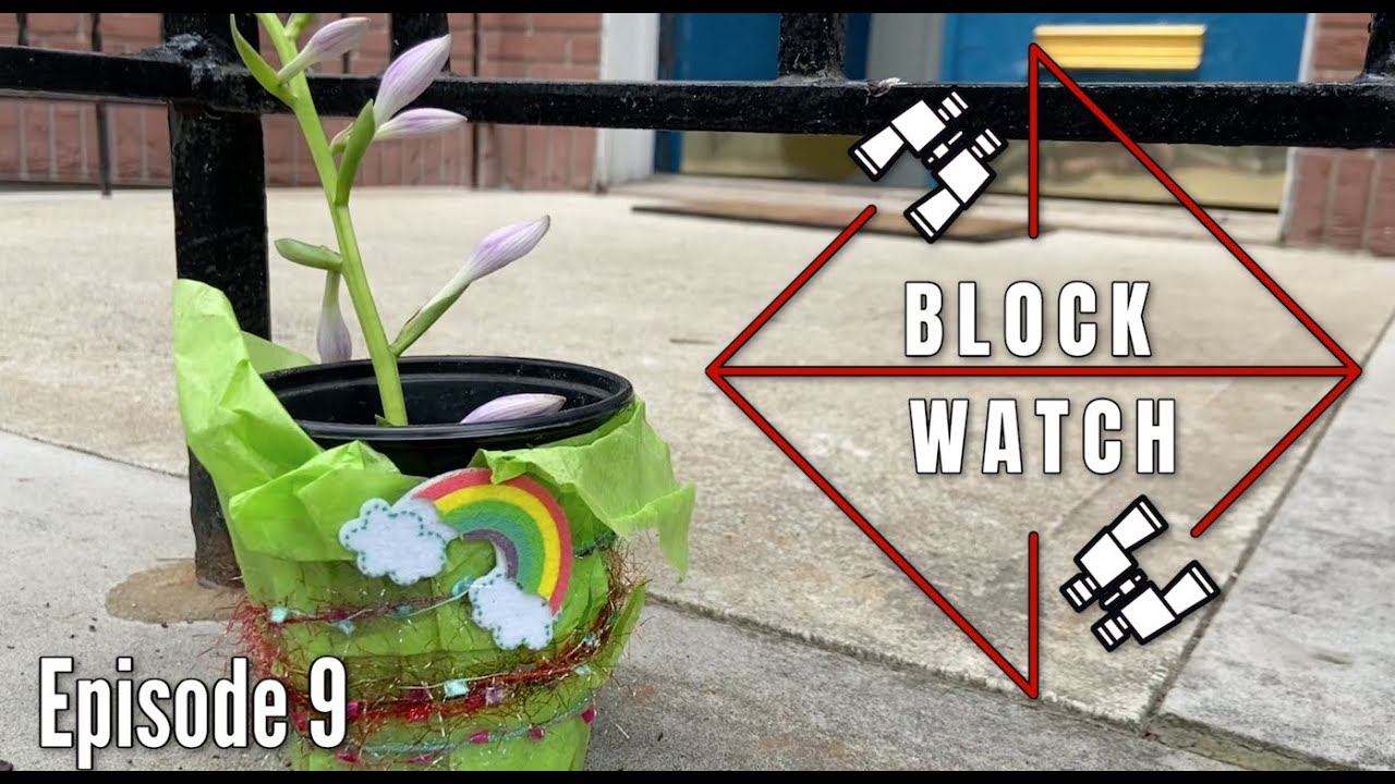 Block Watch (Episode 9) - YouTube