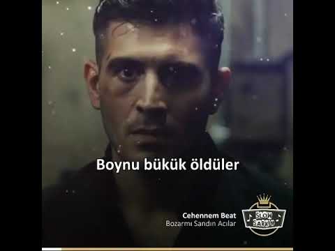 Bozarmı sandın acılar