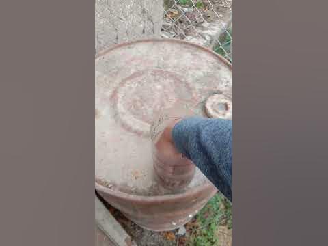 хочу приучить собаку к новой лежанке #алабай #ит #собака #dog #respect ...