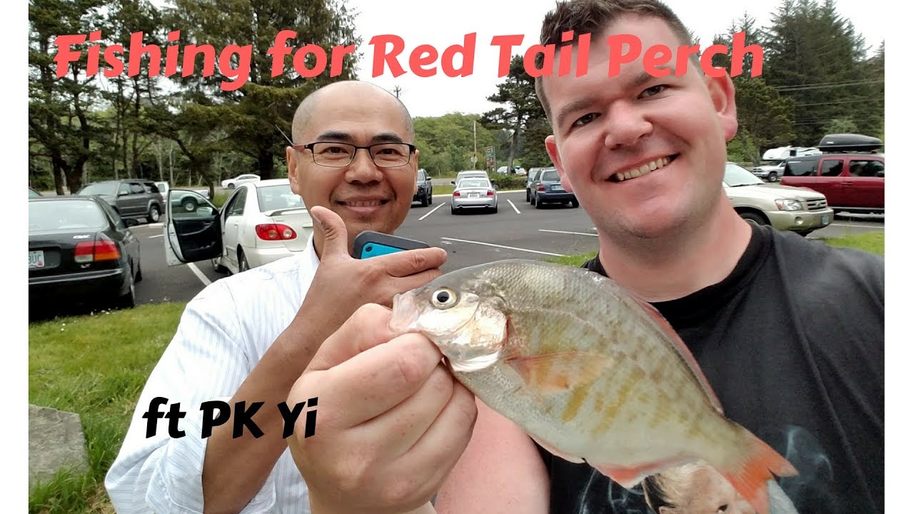 Surf Fishing for Red Tail Perch - ft PK Yi - YouTube