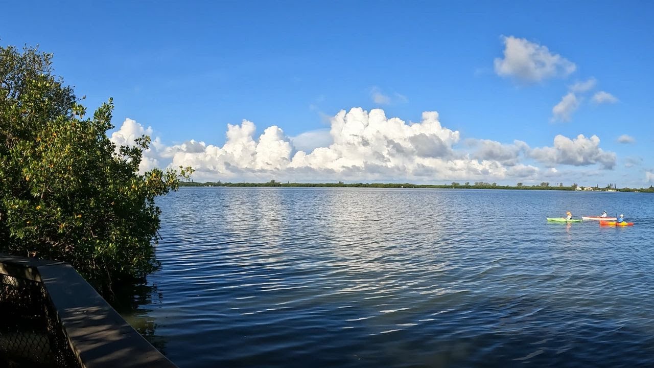 Lemon Bayshore Trail, Lemon Bay Park, Englewood Florida (4K) - YouTube