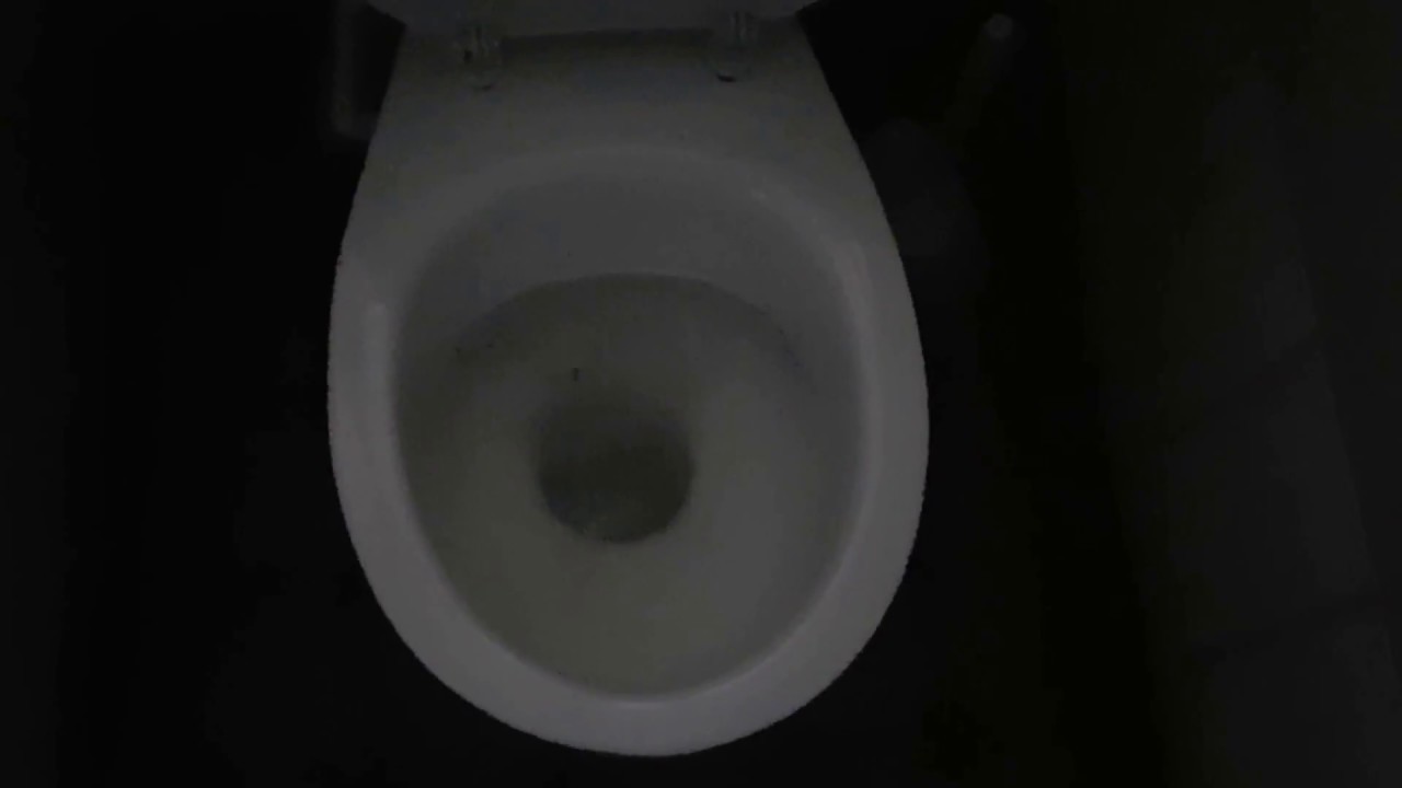 CCPB Lecico Neon + Lecico Neon/CC Lecico Atlas, Pub, Hinckley (9) - YouTube