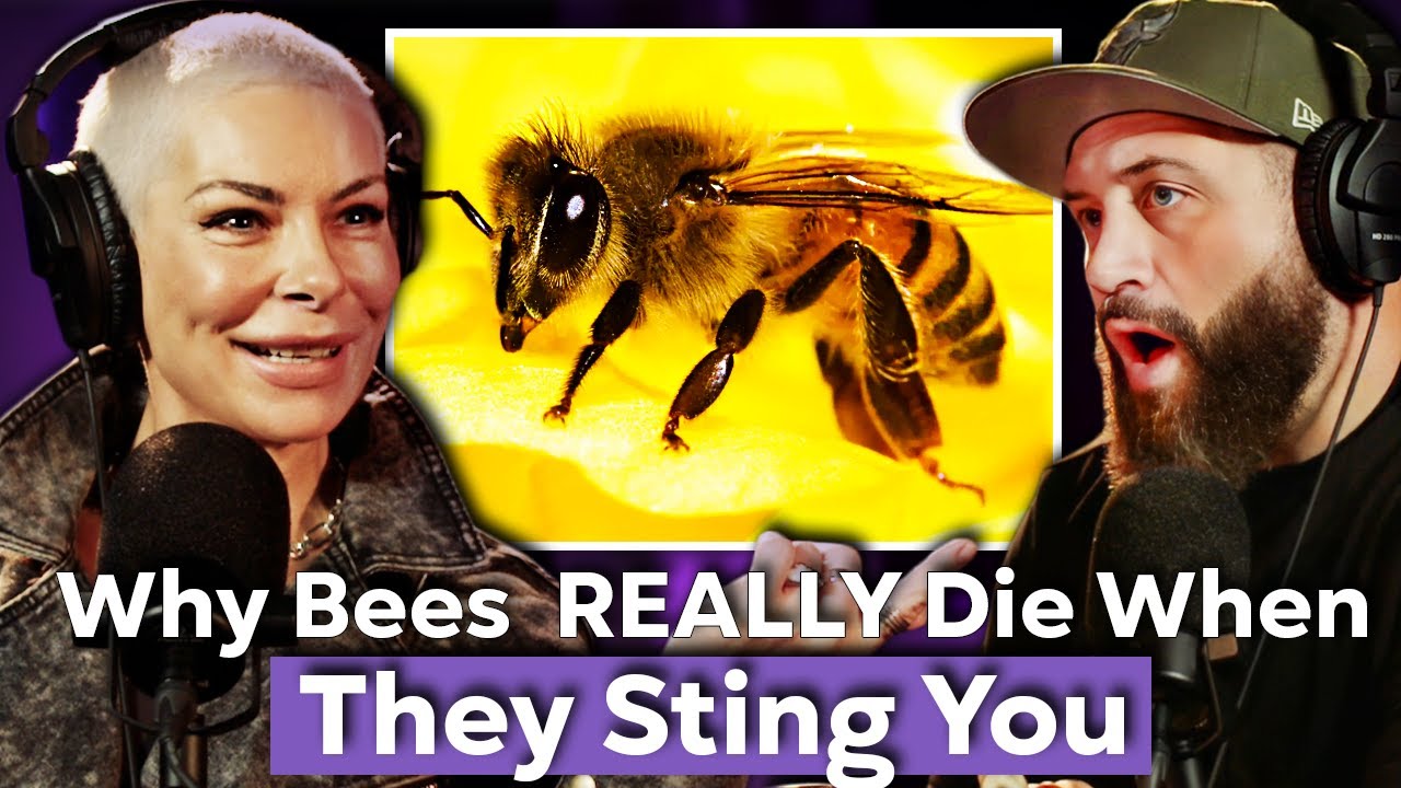 Beekeeper Reveals INSANE Bee Facts You Won't Believe 🐝 - YouTube