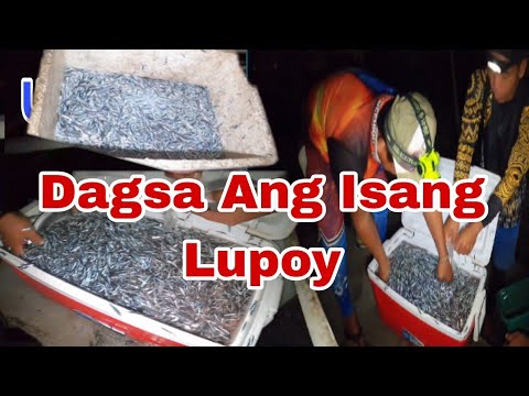 Dumagsa Ang Isdang Lupoy/ Unang Laot 2025/ Part 2/Vlog # 602 LTV #viralvideo #fishing/ - YouTube