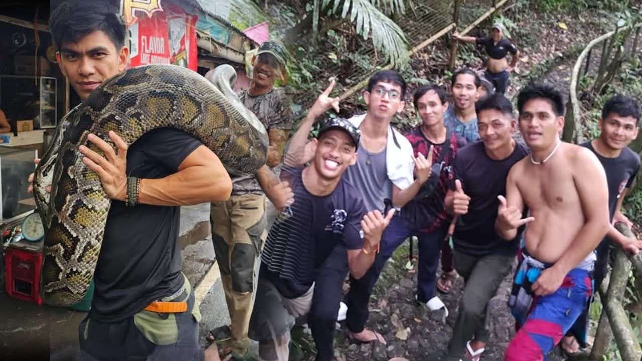 COBRA PRINCE AVENGERS OLD BUT GOLD VIDEO COMPILATION.#cobraprince - YouTube