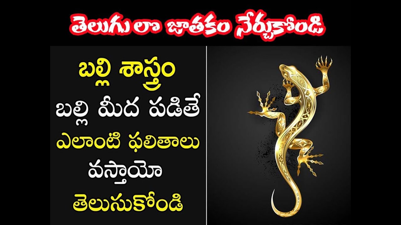 balli sastram in telugu || బల్లి శాస్త్రం || Learn Astrology In Telugu ...