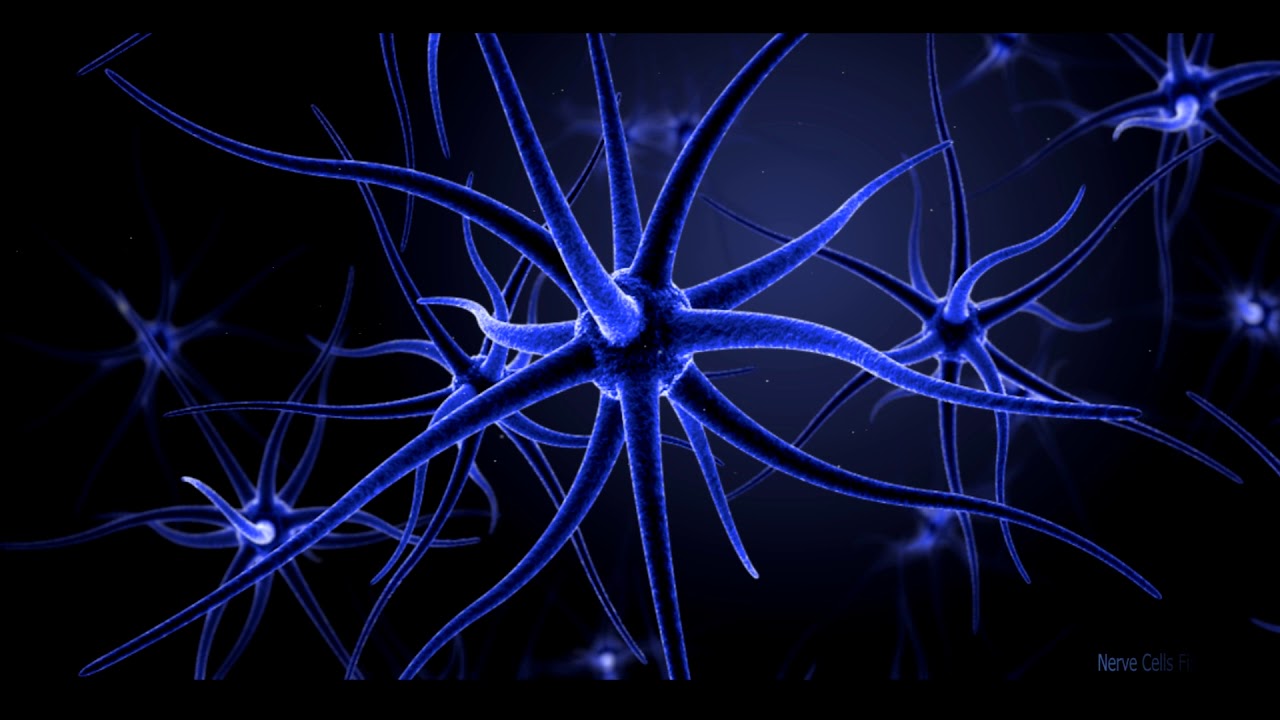 Nerve Cell Firing Signals - YouTube