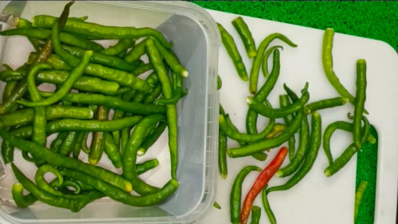 HOW TO KEEP GREEN CHILLIES FRESH IN FRIDGE FOR LONG TIME | GREEN ...