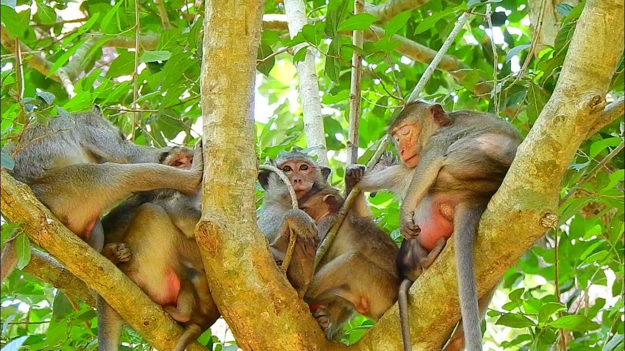 NATURE WILDLIFE #23 - YouTube