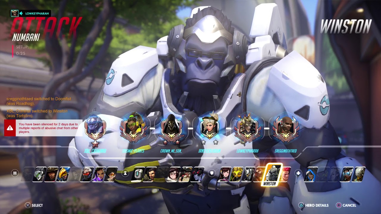 Overwatch: Toxic, Racist, Sexist top 500 smurf PS4 - YouTube