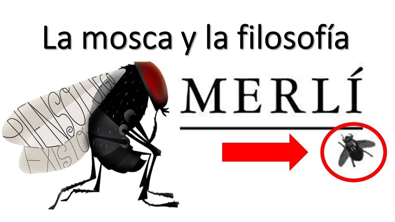 La mosca y la filosofia - YouTube