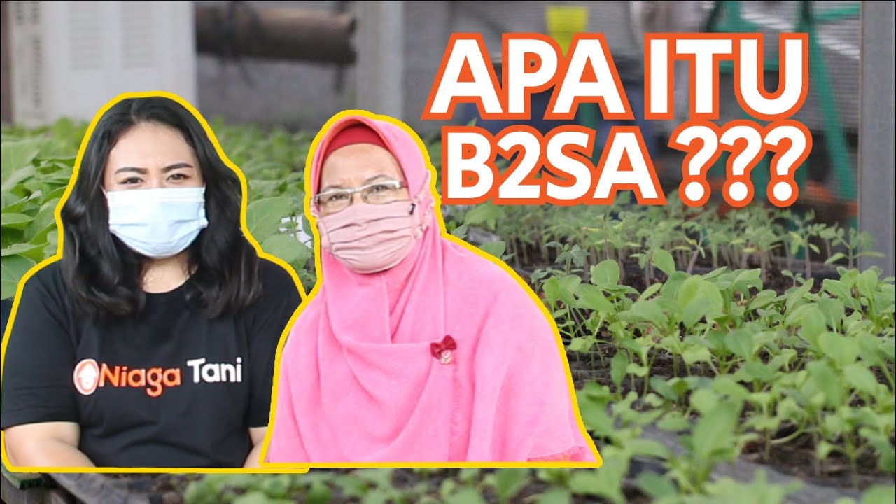 Apa itu B2SA - YouTube
