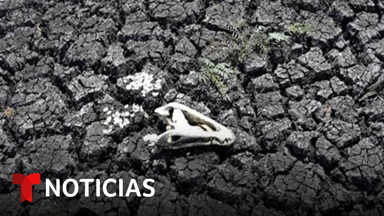 Planeta Tierra: La crisis climática se evidenció con eventos extremos ...