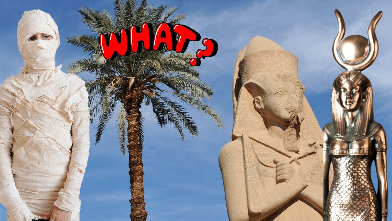 Mummification in Egypt: Journey to the Afterlife in Antiquity - YouTube