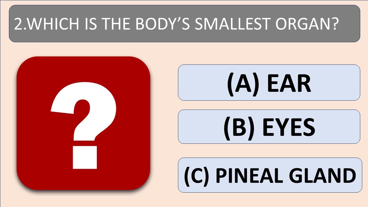 Multiple choice question based on Organs | Kids Scholar | - YouTube