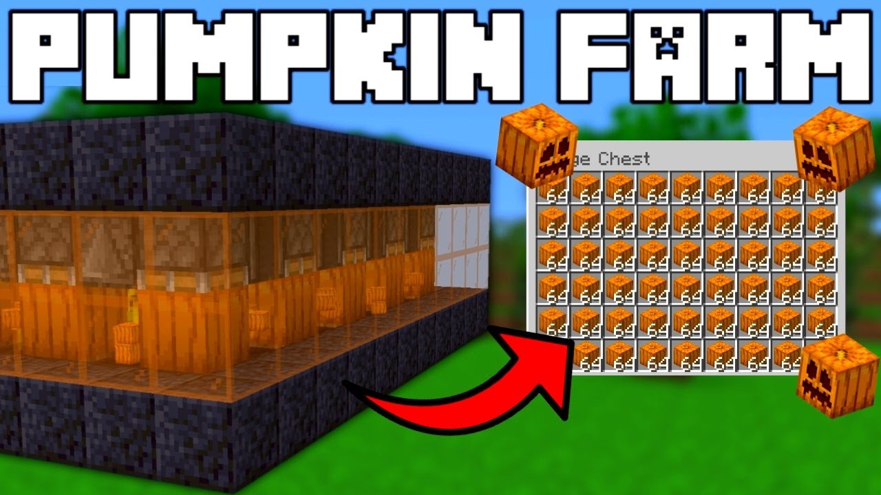 🦅 Minecraft Bedrock 1.20 | EASY PUMPKIN FARM TUTORIAL! - YouTube