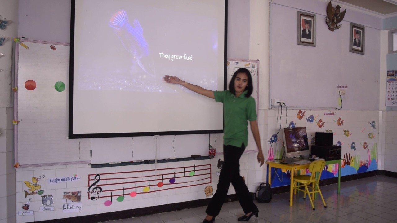 Animals Reproduction - Science Learning ( Petra 13 Christian Preschool ...