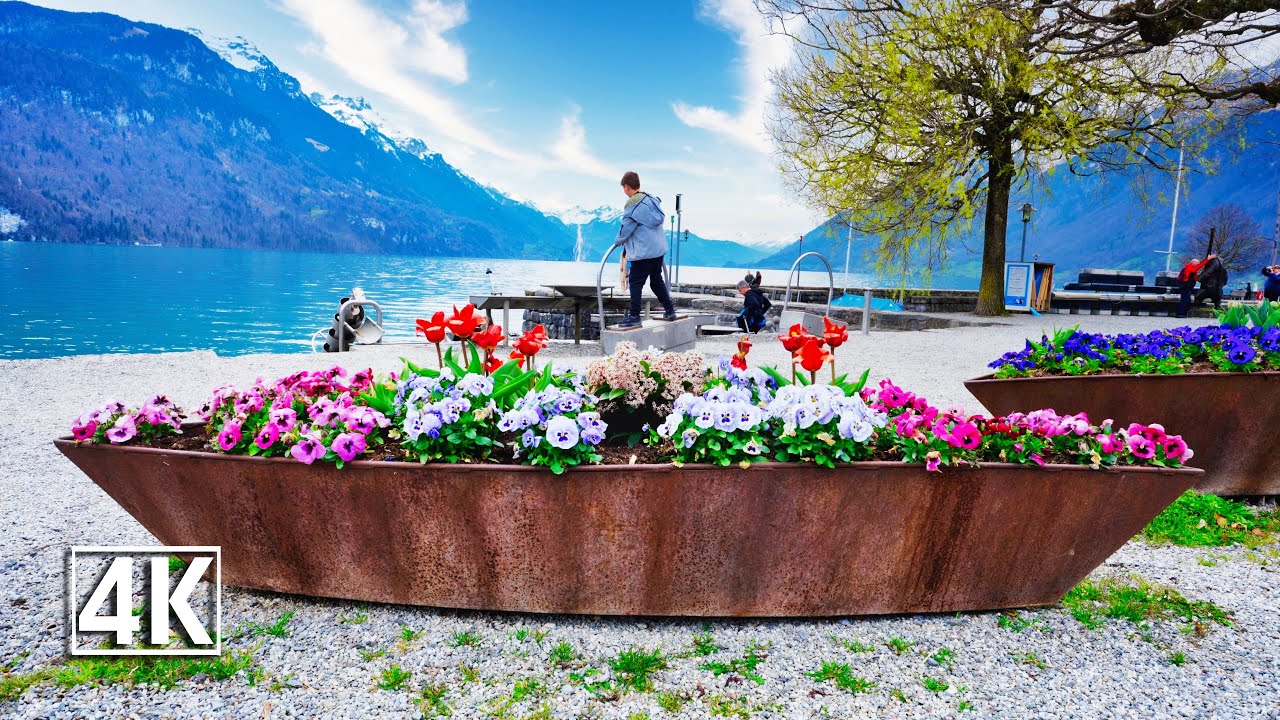 Brienz spring walk 🇨🇭 most beautiful villages in Switzerland - YouTube
