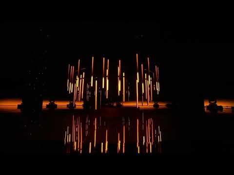 Данелия Тулешова в Америке