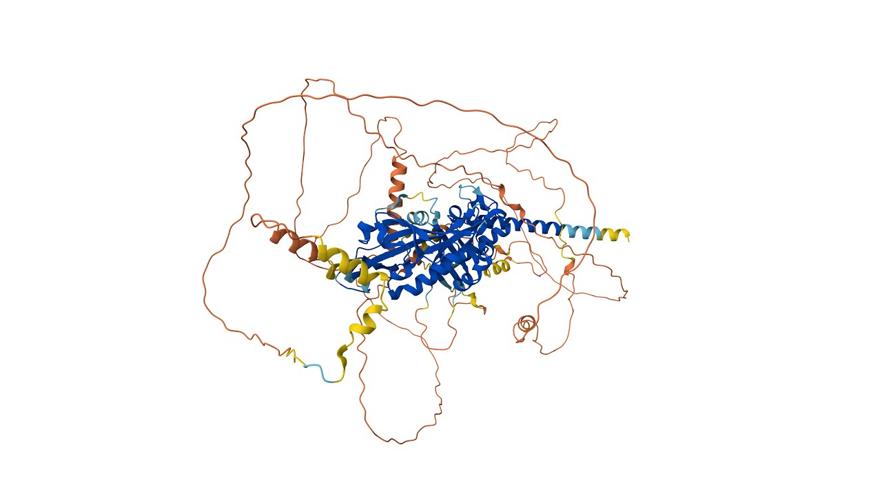 Protein Model Quality - Part 1: Exploring AlphaFold's pLDDT scores in ...