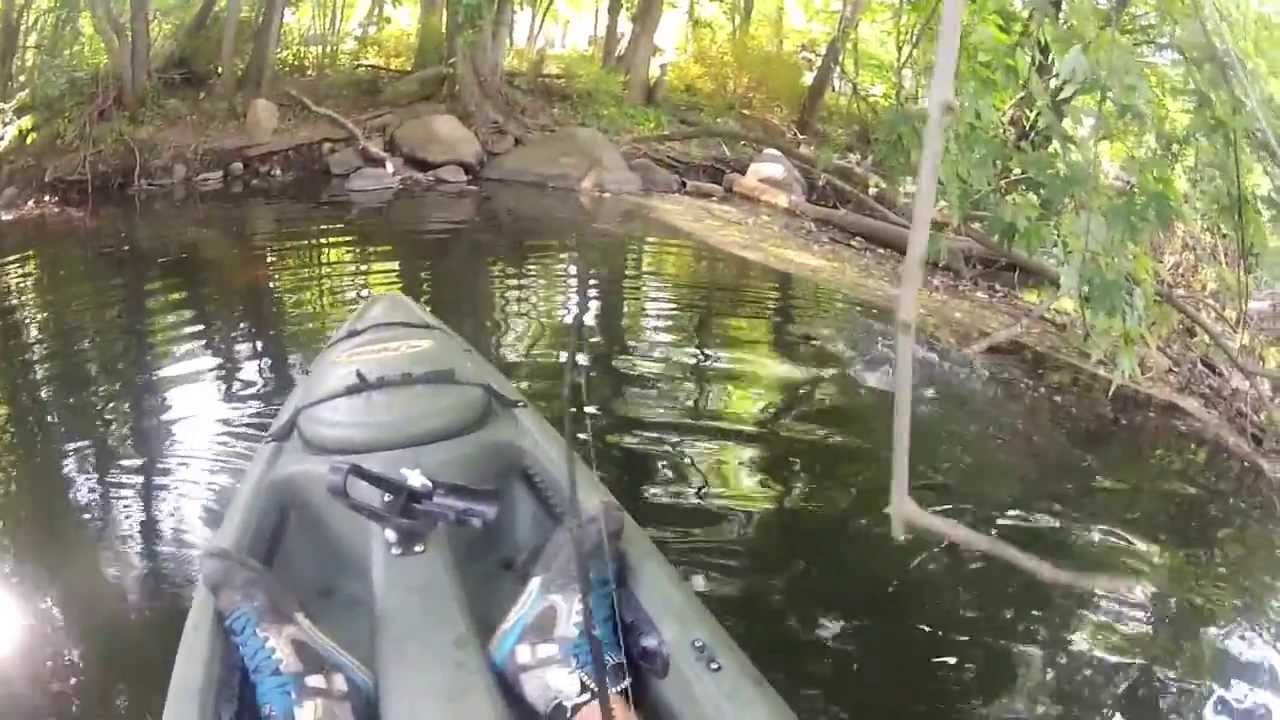 Smallmouth Fishing with Topwater Frogs (HD) - YouTube