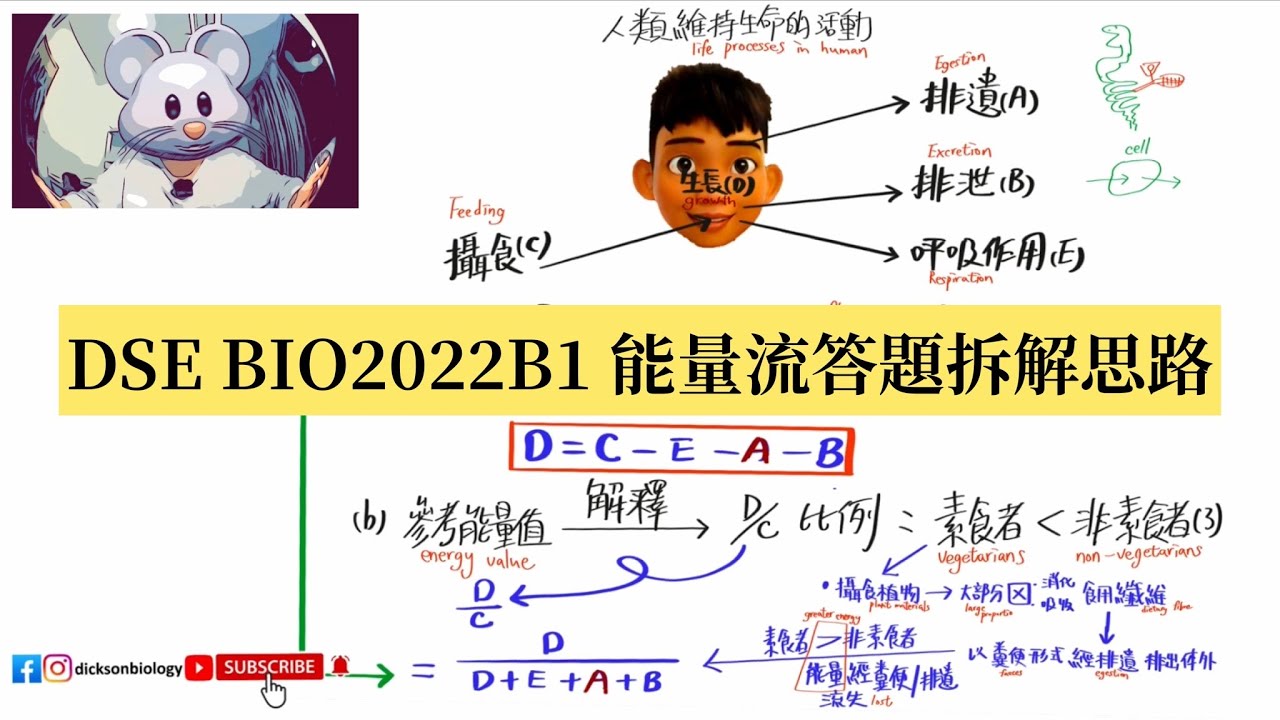 DSE BIO2022B1 3步拆解能量流｜DSE BIO答題思路 - YouTube