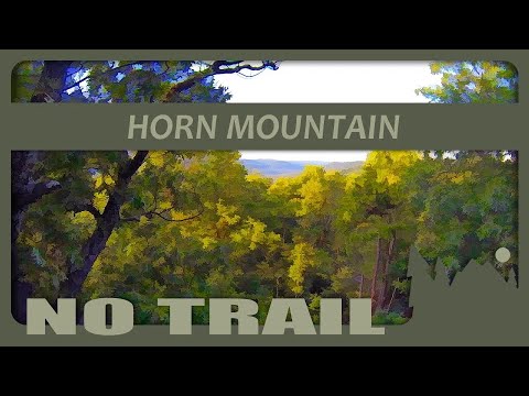 160 Horn Mountain, Gene Rush WMA hike of shame - YouTube