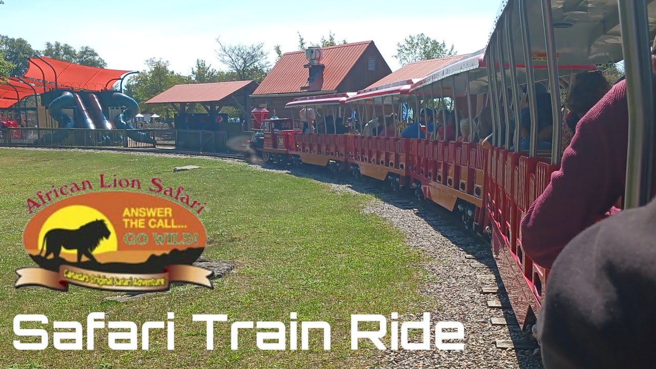 African Lion Safari Train Ride Tour 9/3/24 - YouTube